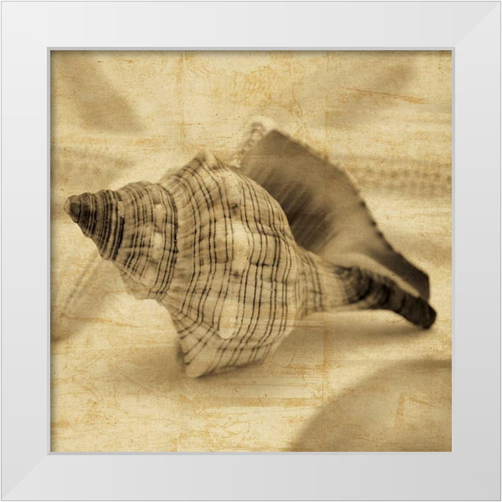 Seba, John 15x15 White Modern Wood Framed Museum Art Print Titled ...