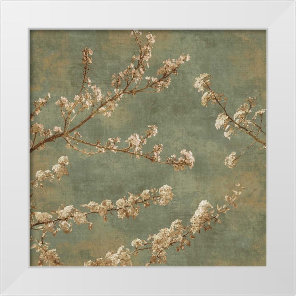 Seba, John 15x15 White Modern Wood Framed Museum Art Print Titled ...