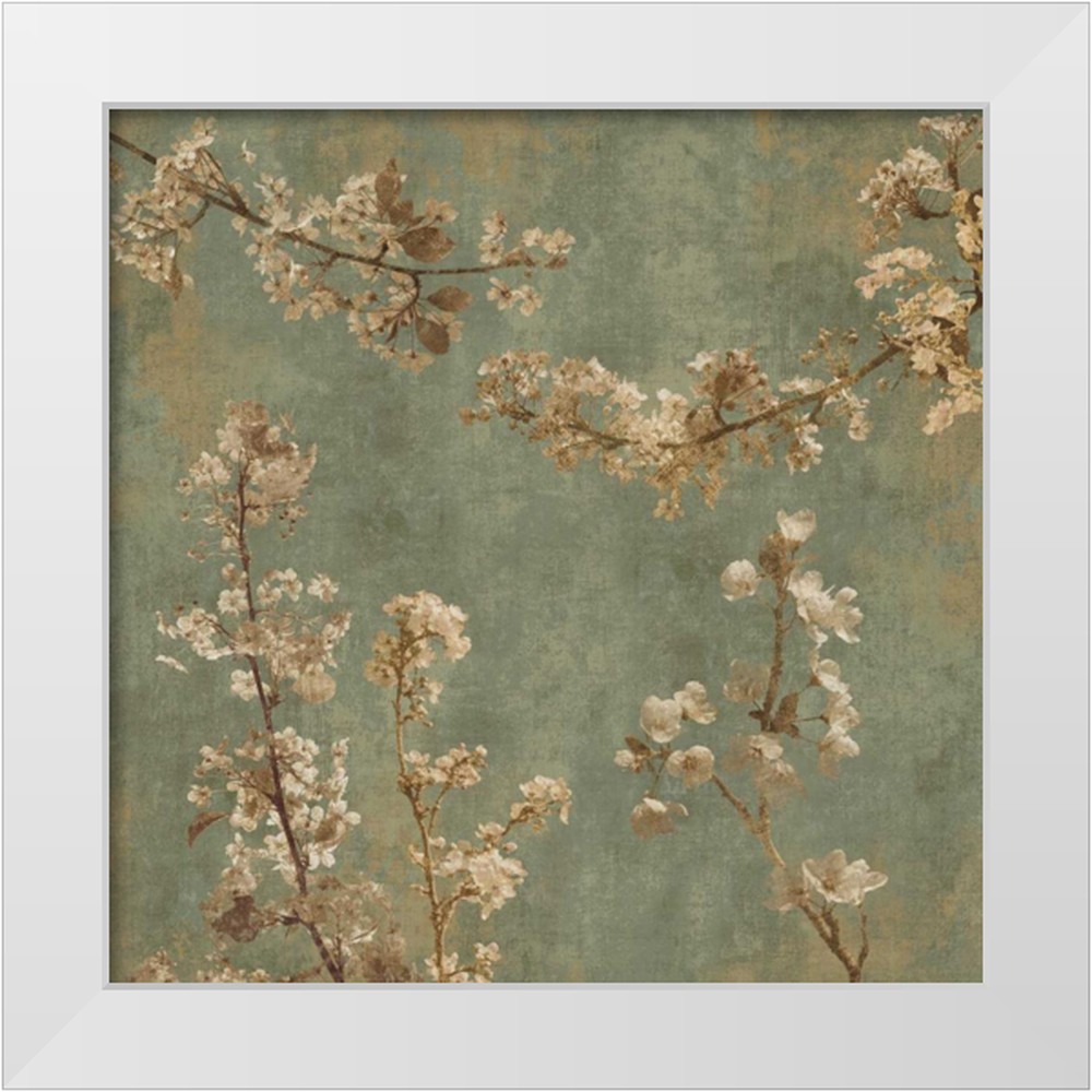 Seba, John 15x15 White Modern Wood Framed Museum Art Print Titled ...
