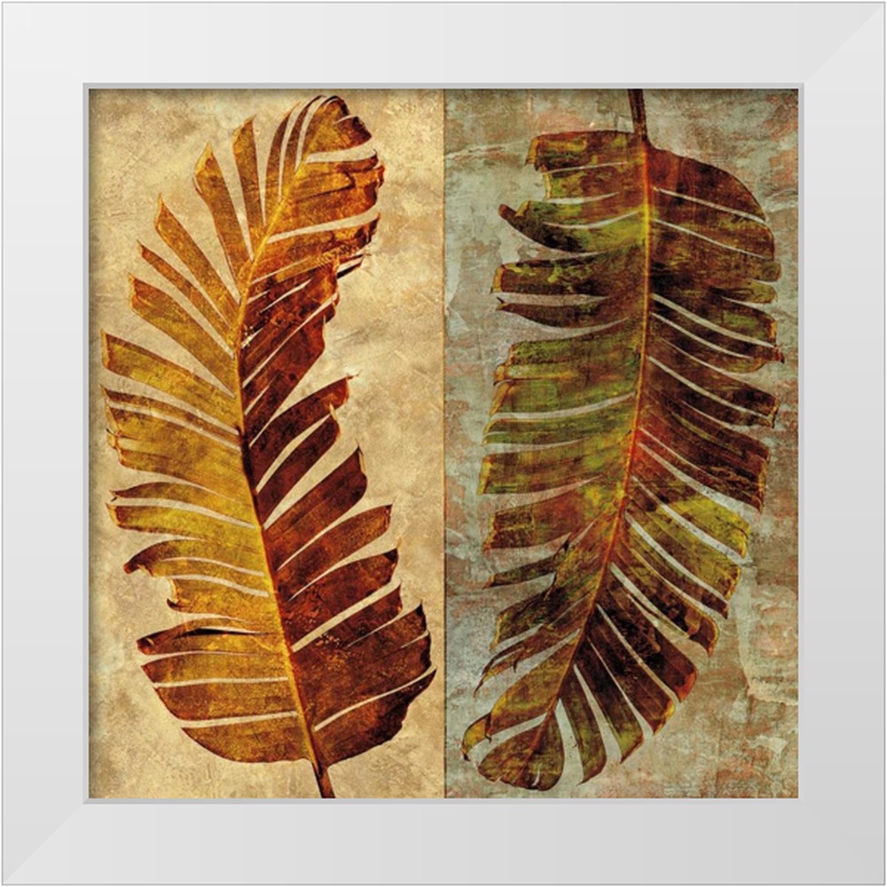Seba, John 15x15 White Modern Wood Framed Museum Art Print Titled ...