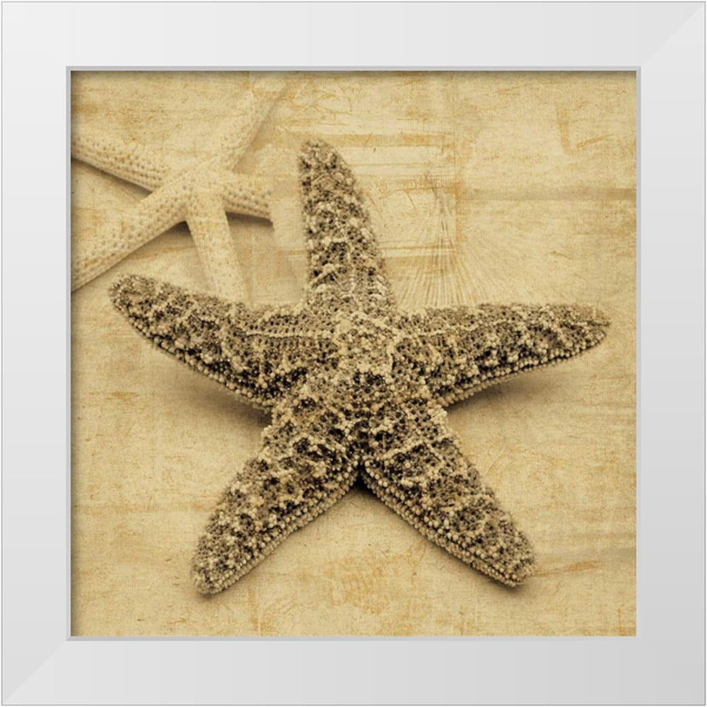 Seba, John 15x15 White Modern Wood Framed Museum Art Print Titled ...