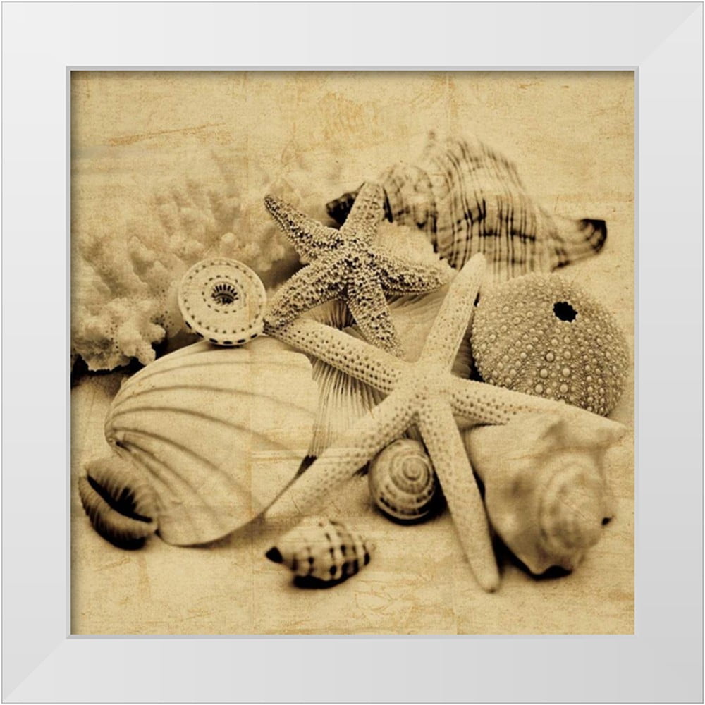 Seba, John 15x15 White Modern Wood Framed Museum Art Print Titled - The ...