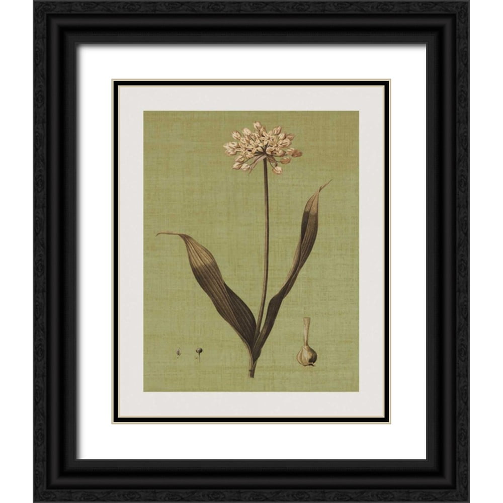 Seba, John 15x18 Black Ornate Wood Framed with Double Matting Museum ...