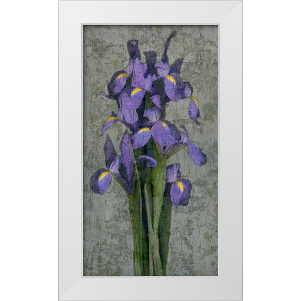 Seba, John 15x24 White Modern Wood Framed Museum Art Print Titled ...