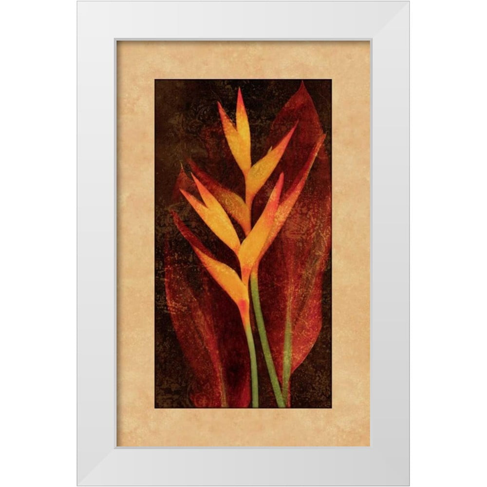 Seba, John 17x24 White Modern Wood Framed Museum Art Print Titled ...