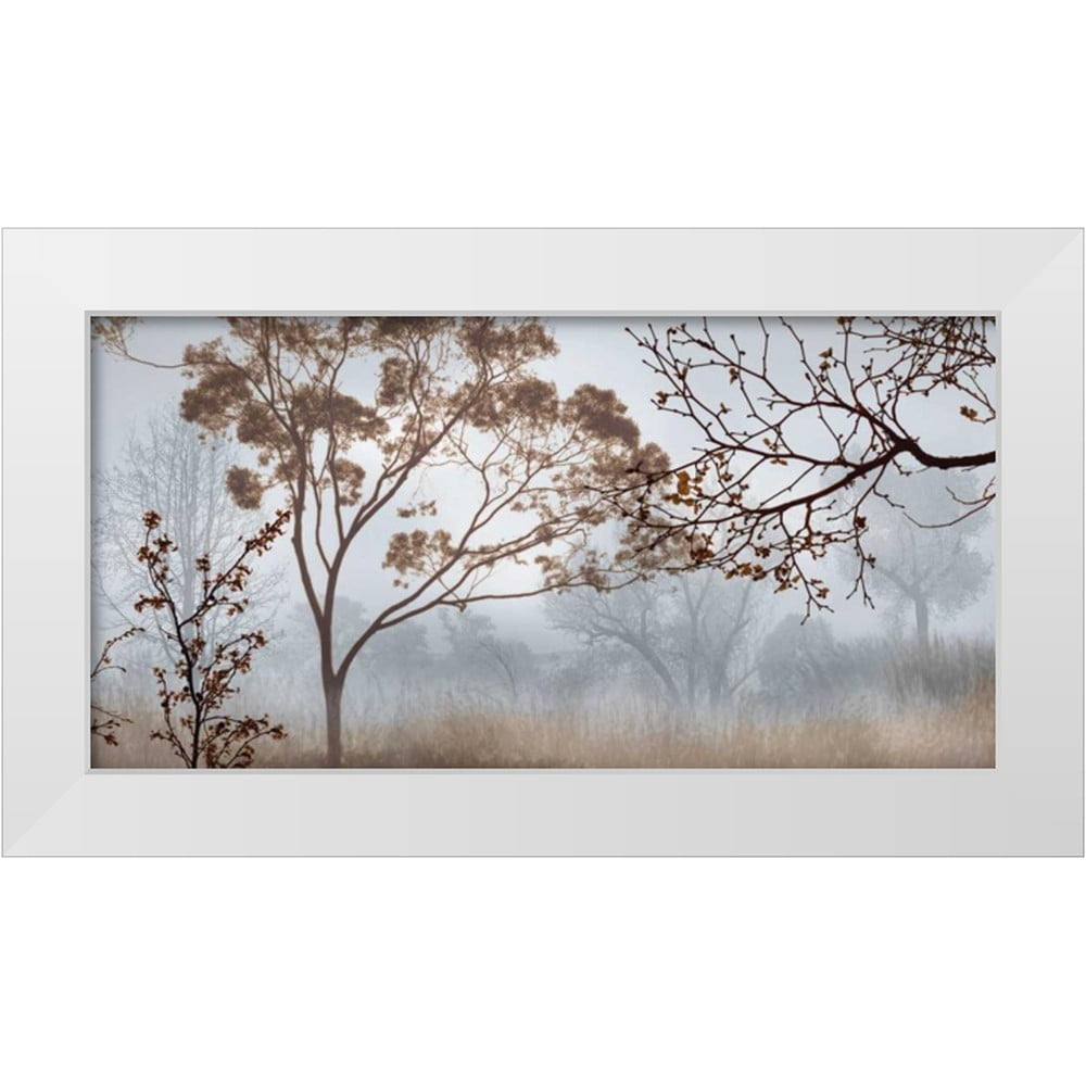Seba, John 18x11 White Modern Wood Framed Museum Art Print Titled ...