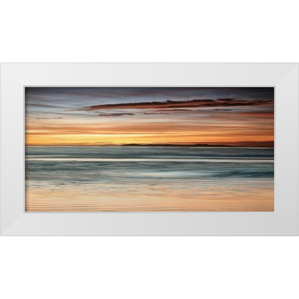 Seba, John 18x11 White Modern Wood Framed Museum Art Print Titled - Sea ...