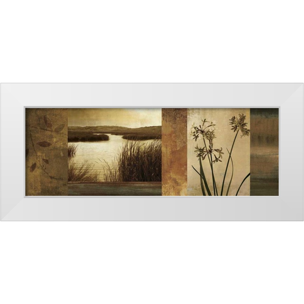 Seba, John 18x9 White Modern Wood Framed Museum Art Print Titled ...