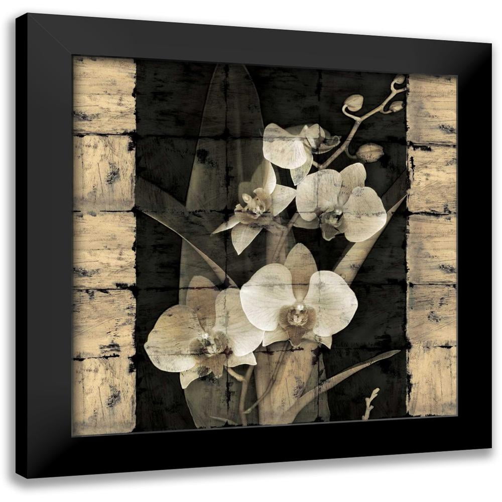 Seba, John 20x20 Black Modern Framed Museum Art Print Titled - Orchids ...