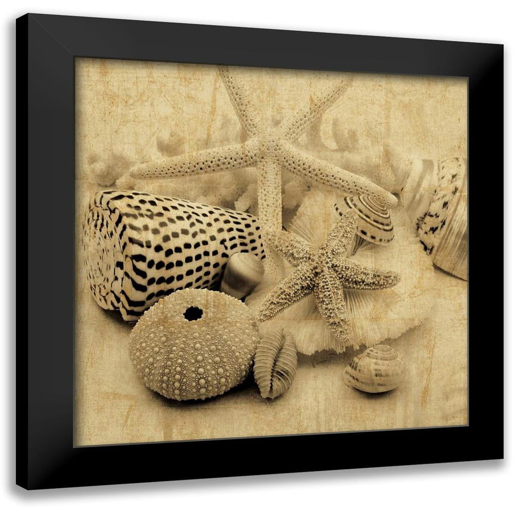 Seba, John 20x20 Black Modern Framed Museum Art Print Titled - The ...