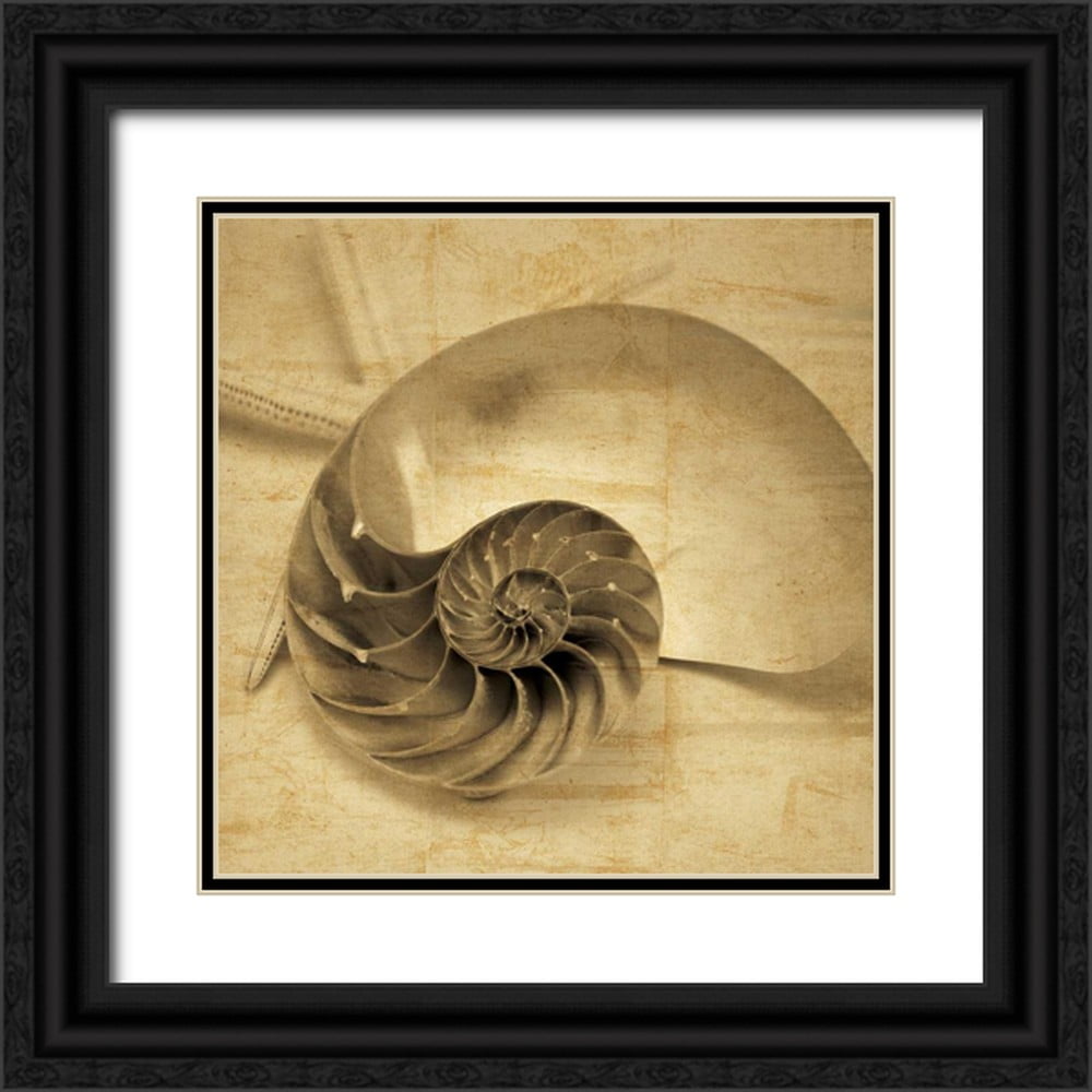 Seba, John 20x20 Black Ornate Wood Framed with Double Matting Museum ...