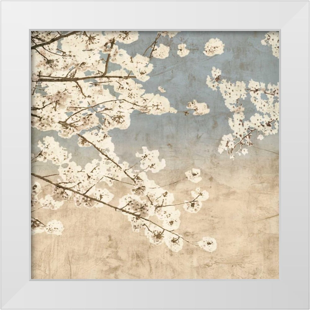 Seba, John 20x20 White Modern Wood Framed Museum Art Print Titled ...