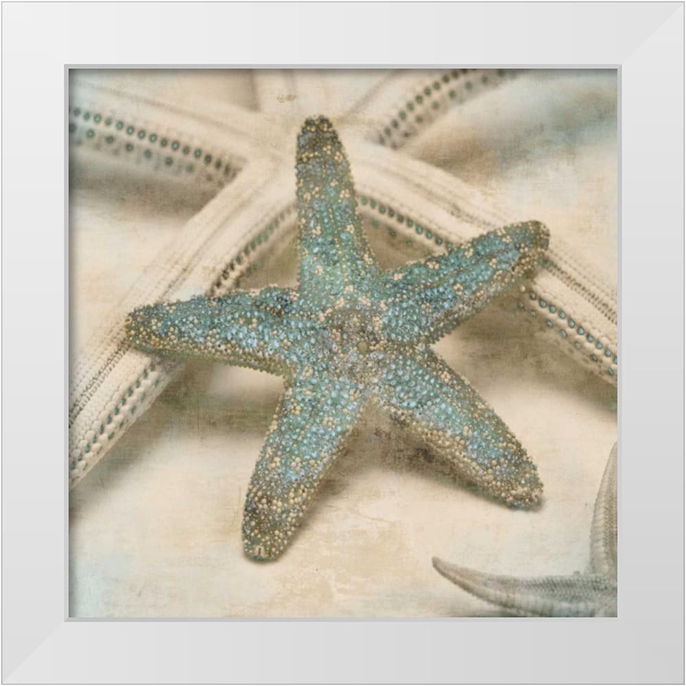 Seba, John 20x20 White Modern Wood Framed Museum Art Print Titled ...