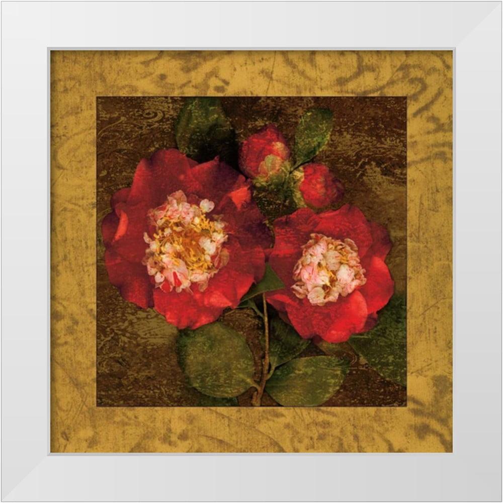 Seba, John 20x20 White Modern Wood Framed Museum Art Print Titled - Red ...