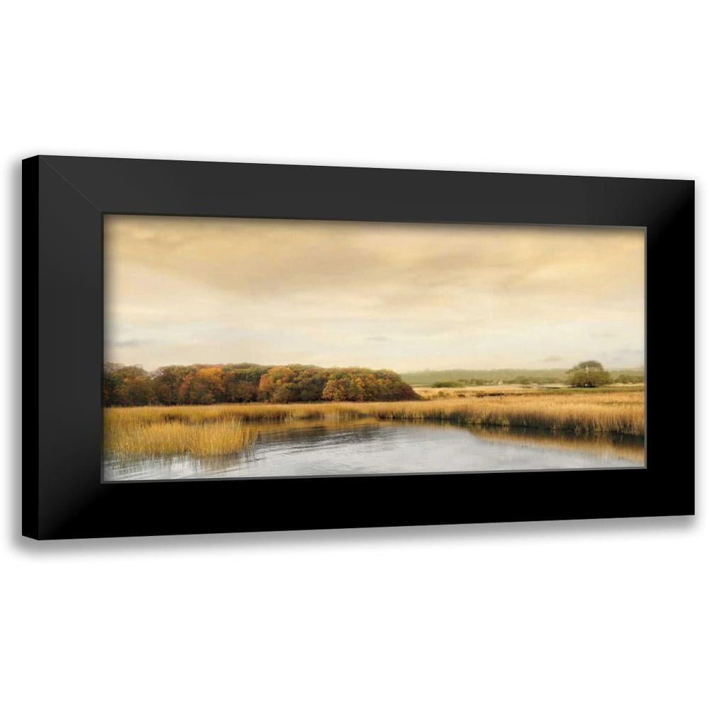 Seba, John 24x14 Black Modern Framed Museum Art Print Titled - Ripples ...