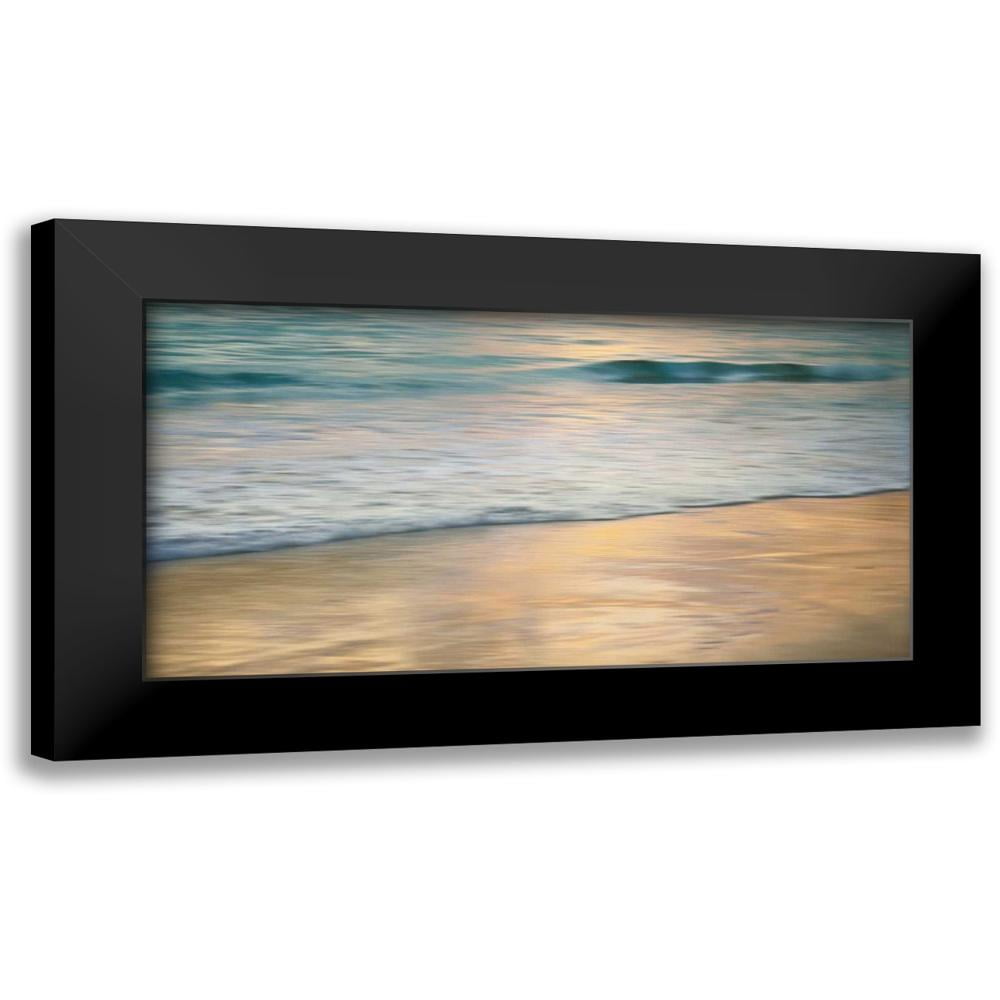 Seba, John 24x14 Black Modern Framed Museum Art Print Titled ...