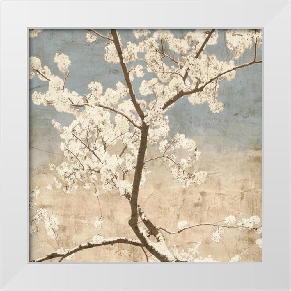 Seba, John 26x26 White Modern Wood Framed Museum Art Print Titled ...