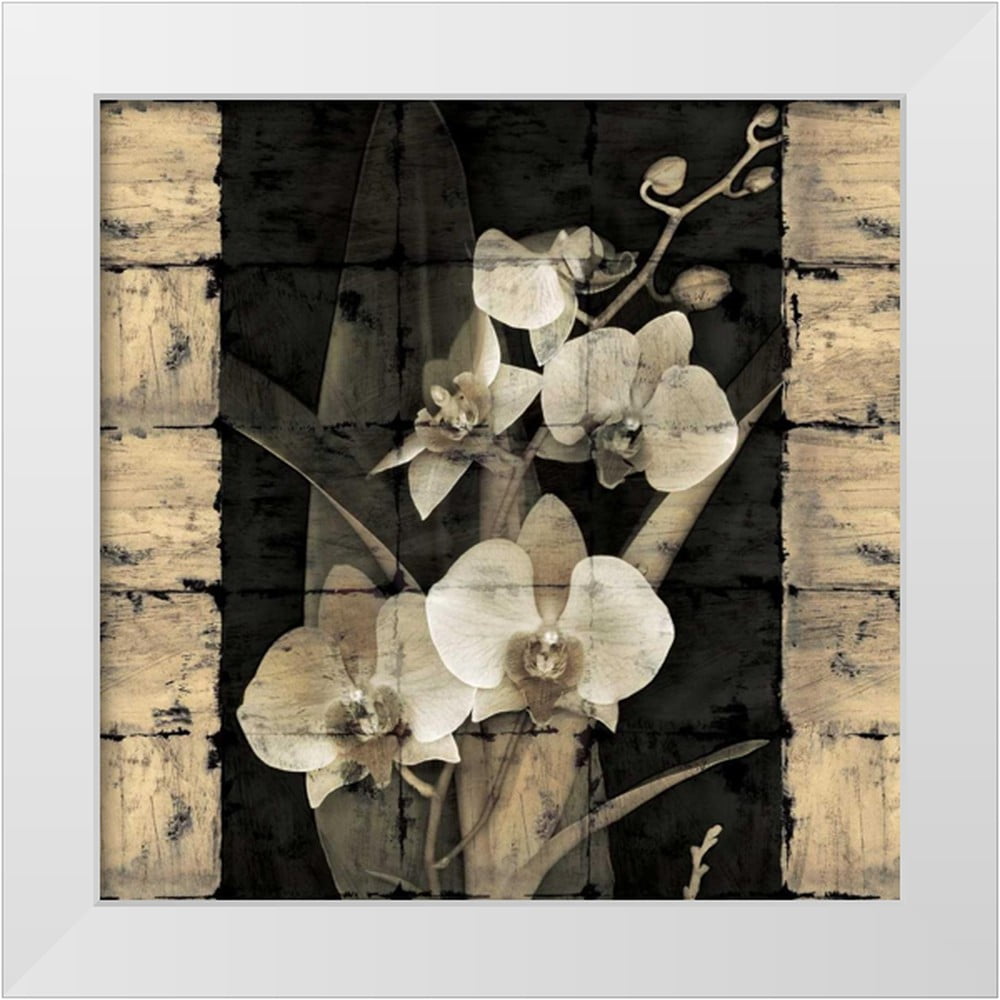 Seba, John 26x26 White Modern Wood Framed Museum Art Print Titled ...