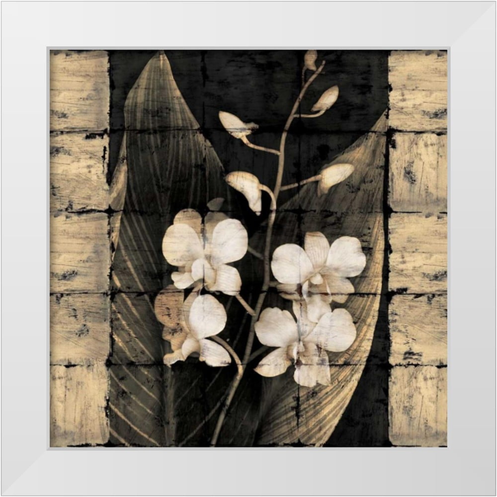 Seba, John 26x26 White Modern Wood Framed Museum Art Print Titled ...