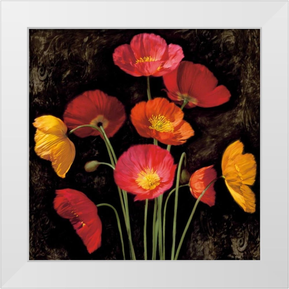 Seba, John 26x26 White Modern Wood Framed Museum Art Print Titled ...