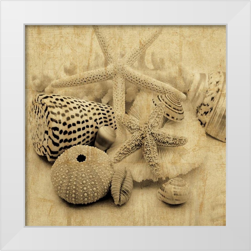 Seba, John 26x26 White Modern Wood Framed Museum Art Print Titled - The ...