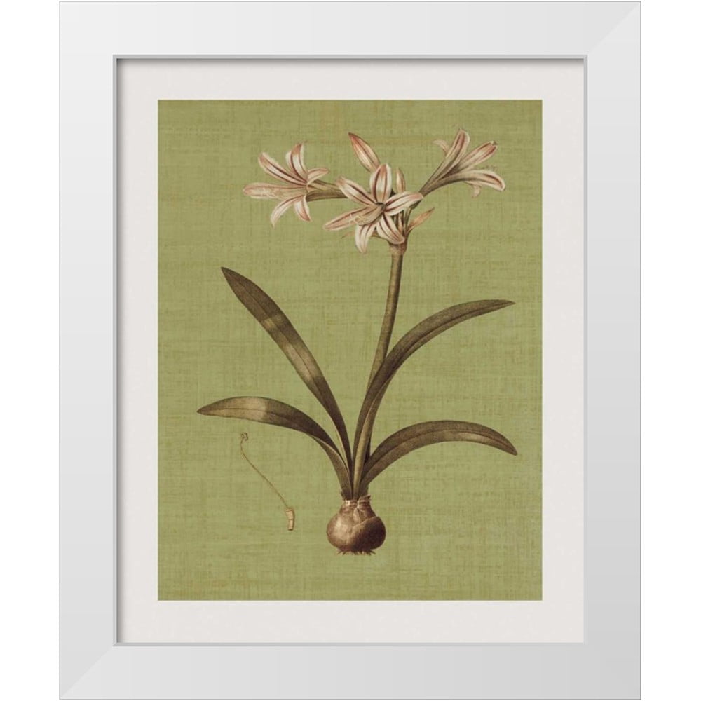 Seba, John 26x32 White Modern Wood Framed Museum Art Print Titled ...