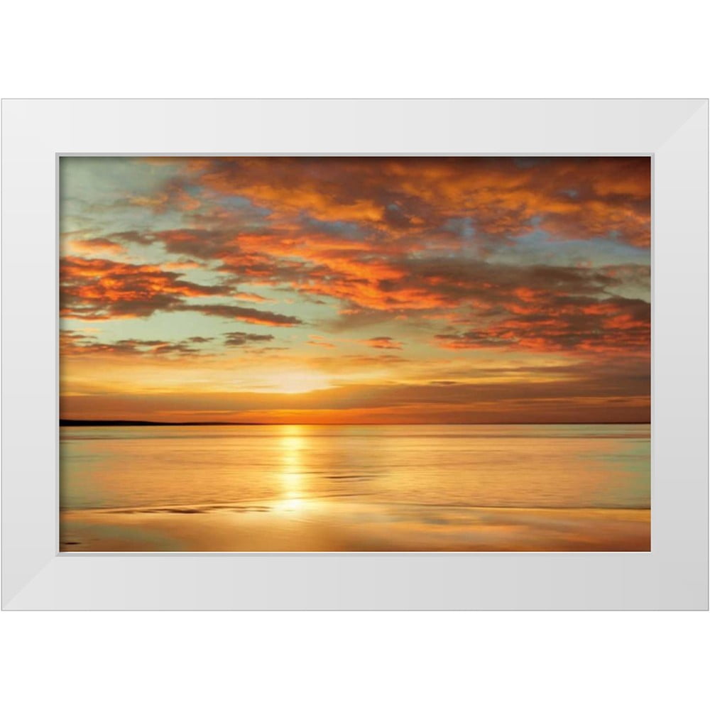 Seba, John 32x23 White Modern Wood Framed Museum Art Print Titled ...