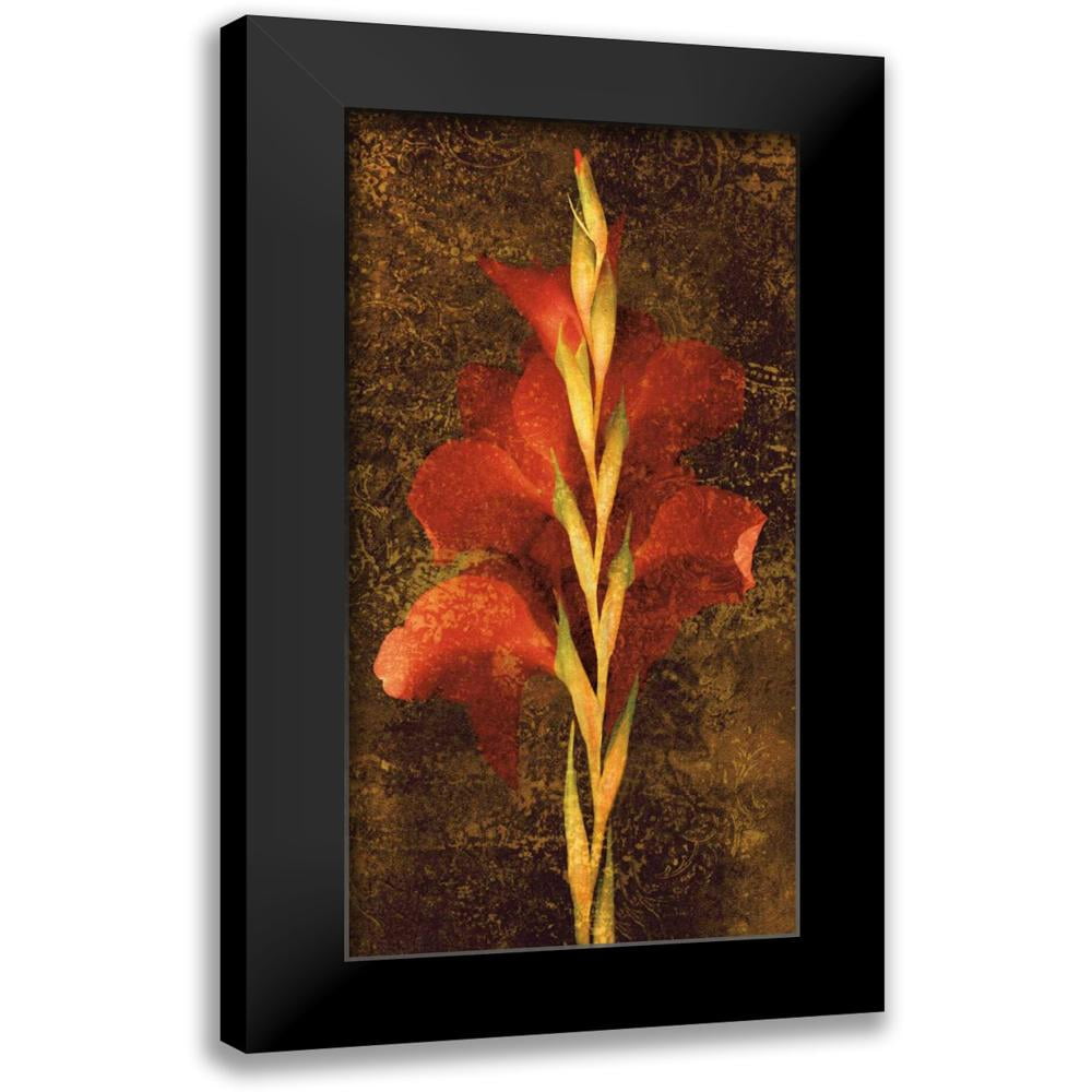 Seba, John 9x14 Black Modern Framed Museum Art Print Titled - Gladiola ...