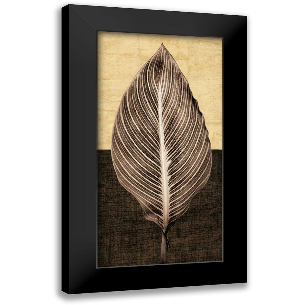 Seba, John 9x14 Black Modern Framed Museum Art Print Titled - Palm Leaf ...