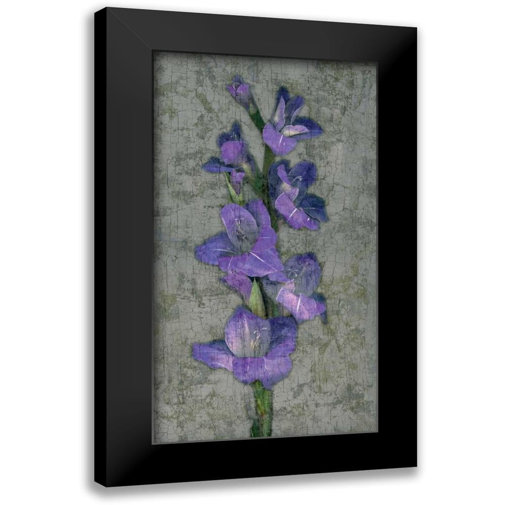Seba, John 9x14 Black Modern Framed Museum Art Print Titled - Purple ...