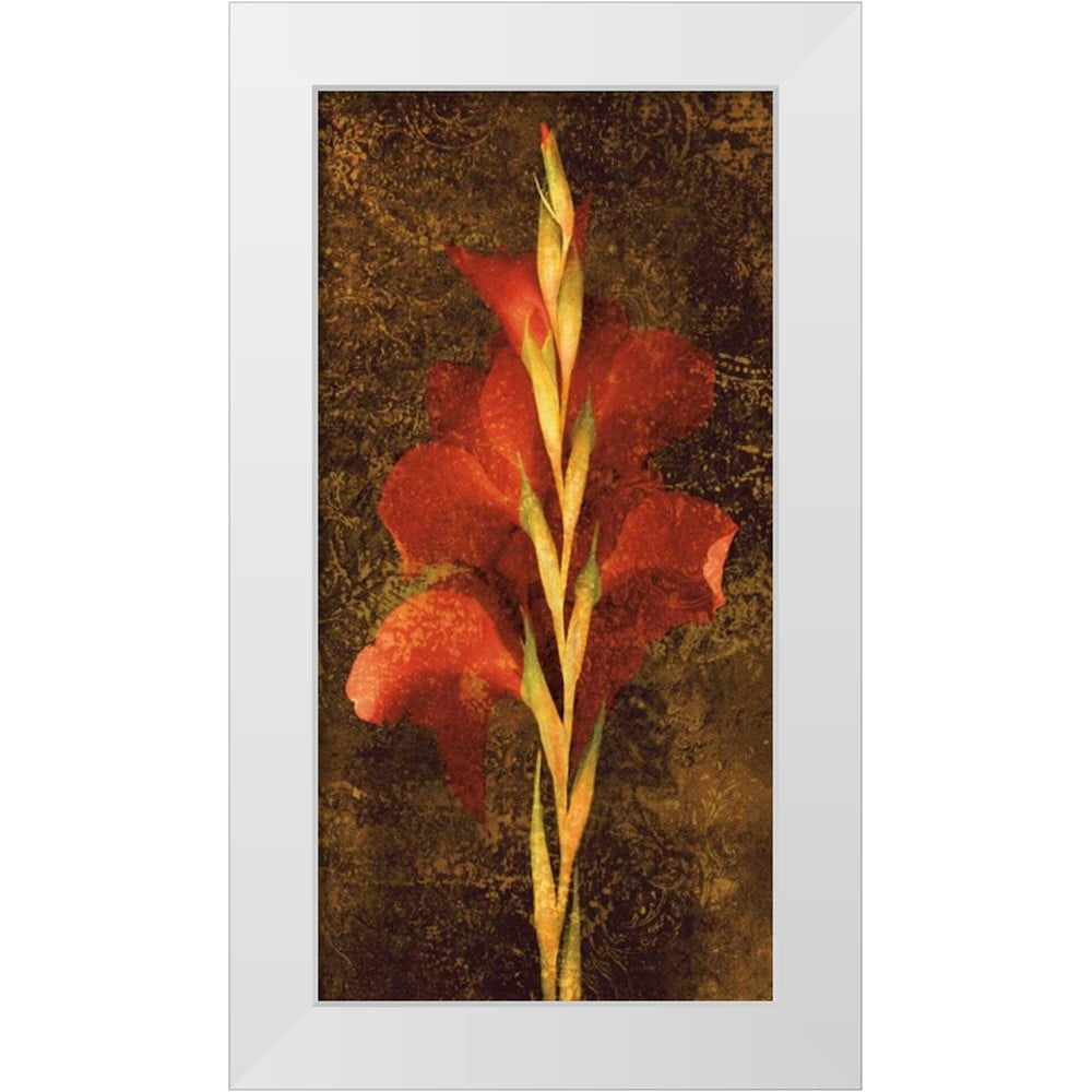 Seba, John 9x14 White Modern Wood Framed Museum Art Print Titled ...