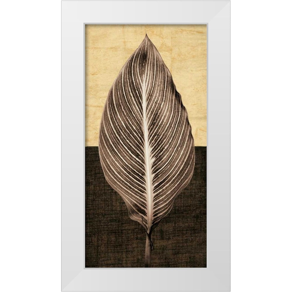 Seba, John 9x14 White Modern Wood Framed Museum Art Print Titled - Palm ...