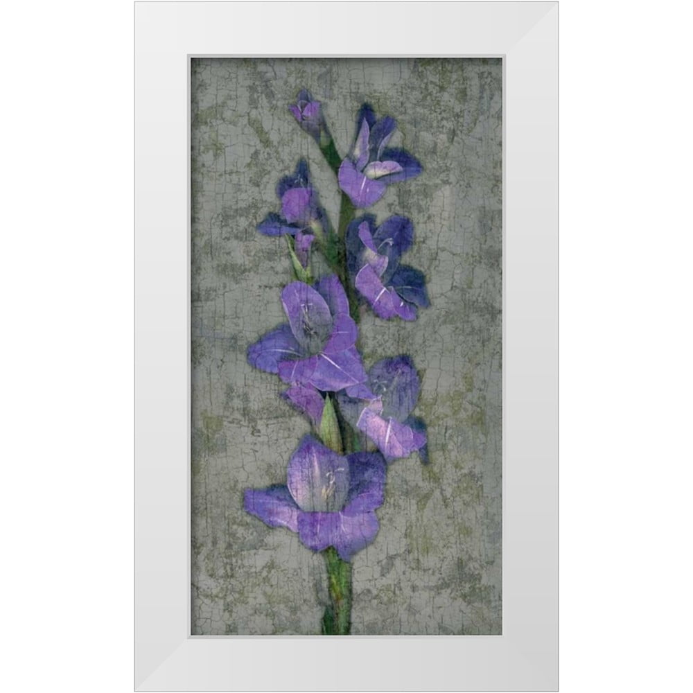Seba, John 9x14 White Modern Wood Framed Museum Art Print Titled ...