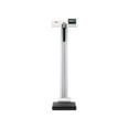 Seca Digital Column Scale with Eye-Level Display - Walmart.com