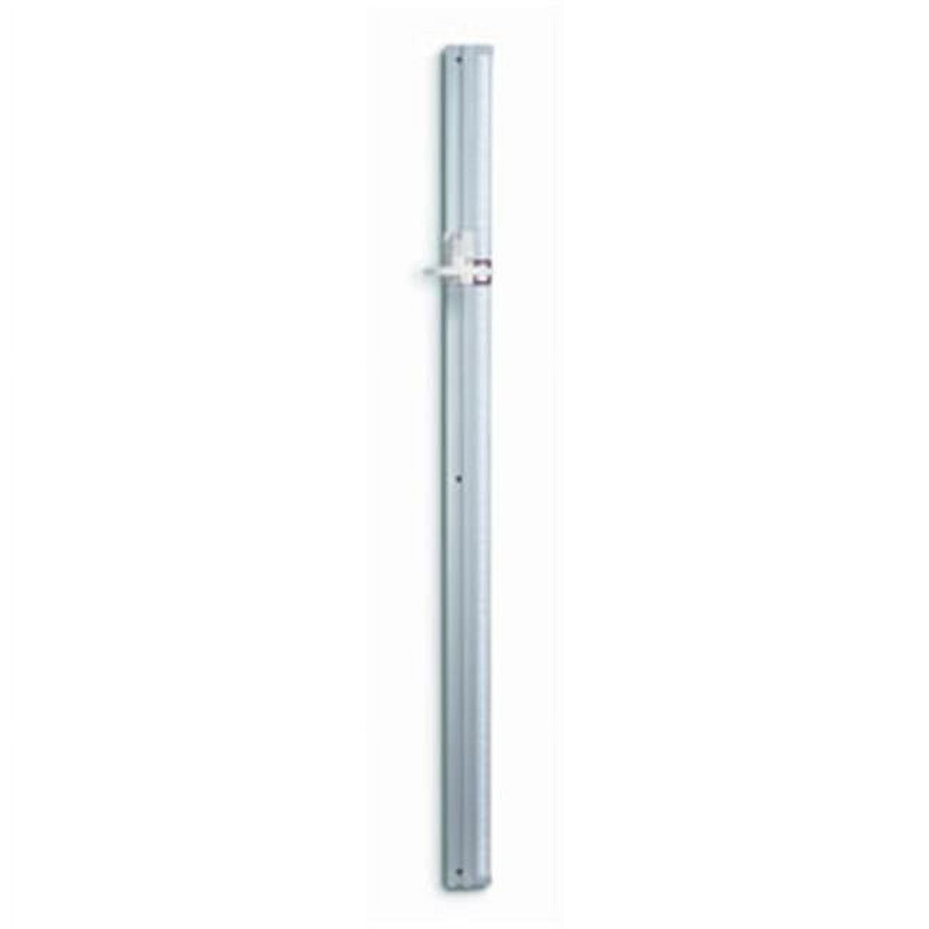 Seca 216 Accu-Hite Wall Mount Measuring Device-90" Capacity - Walmart.com