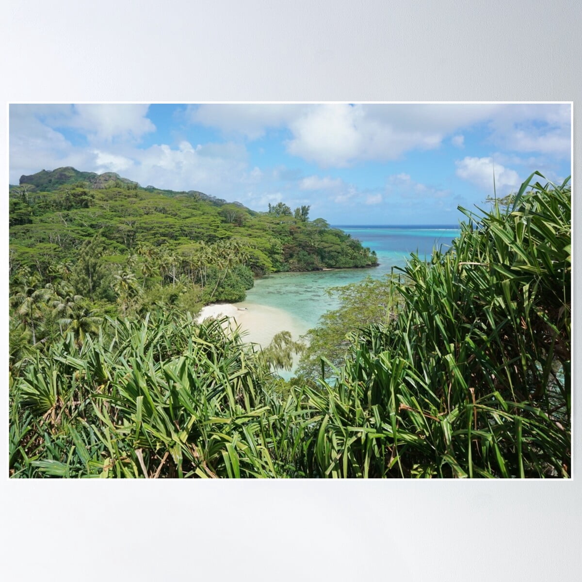 Secluded Sandy Beach With Lush Tropical Vegetation Poster Wall Art ...