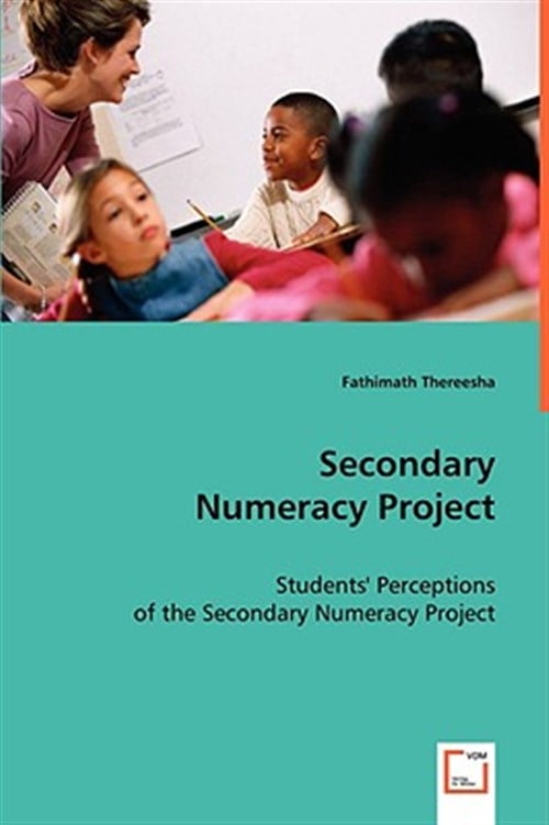 Secondary Numeracy Project (Paperback) - Walmart.com