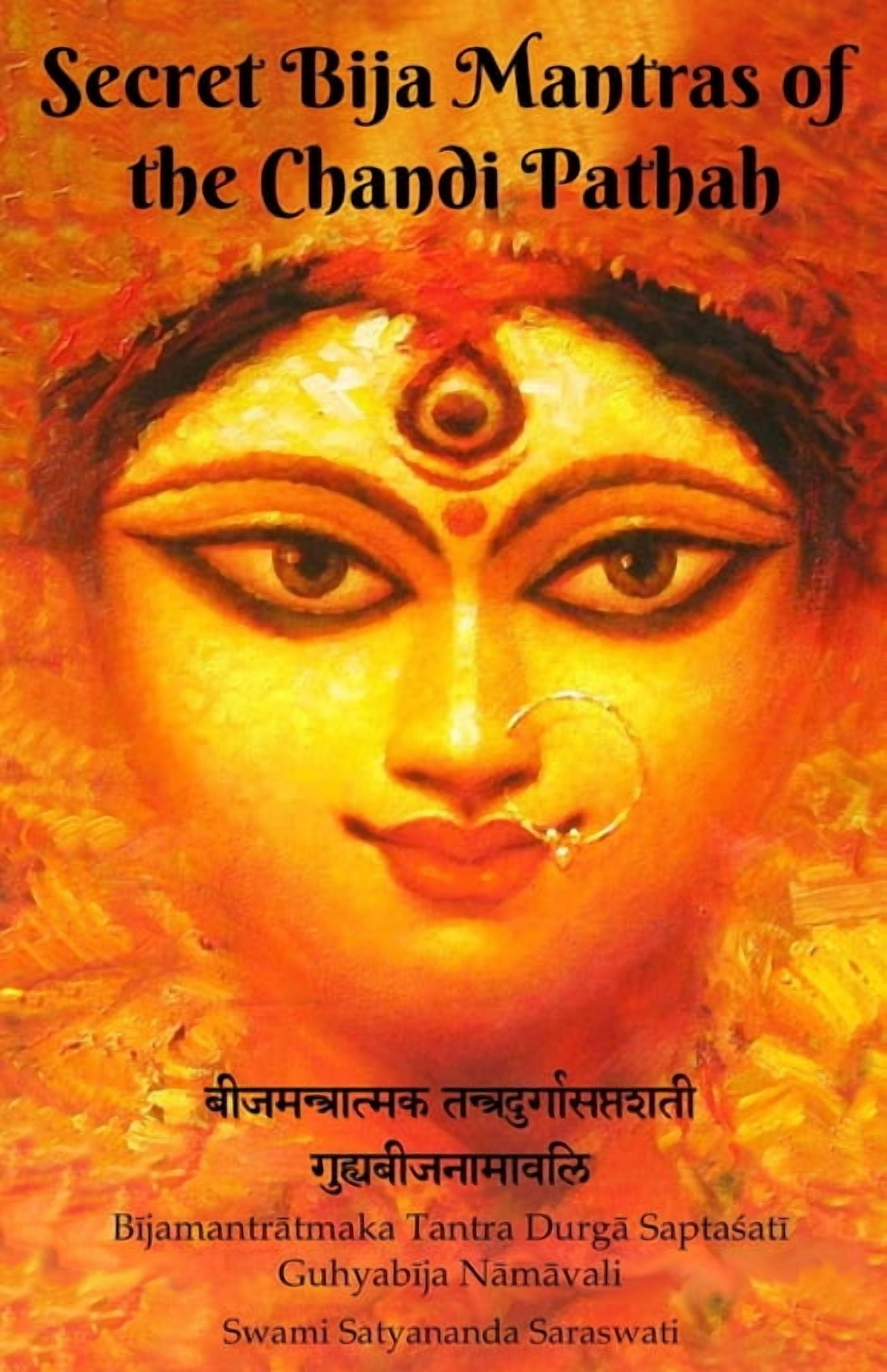 Secret Bija Mantras of the Chandi Pathah: Bijamantratmaka Tantra Durga ...