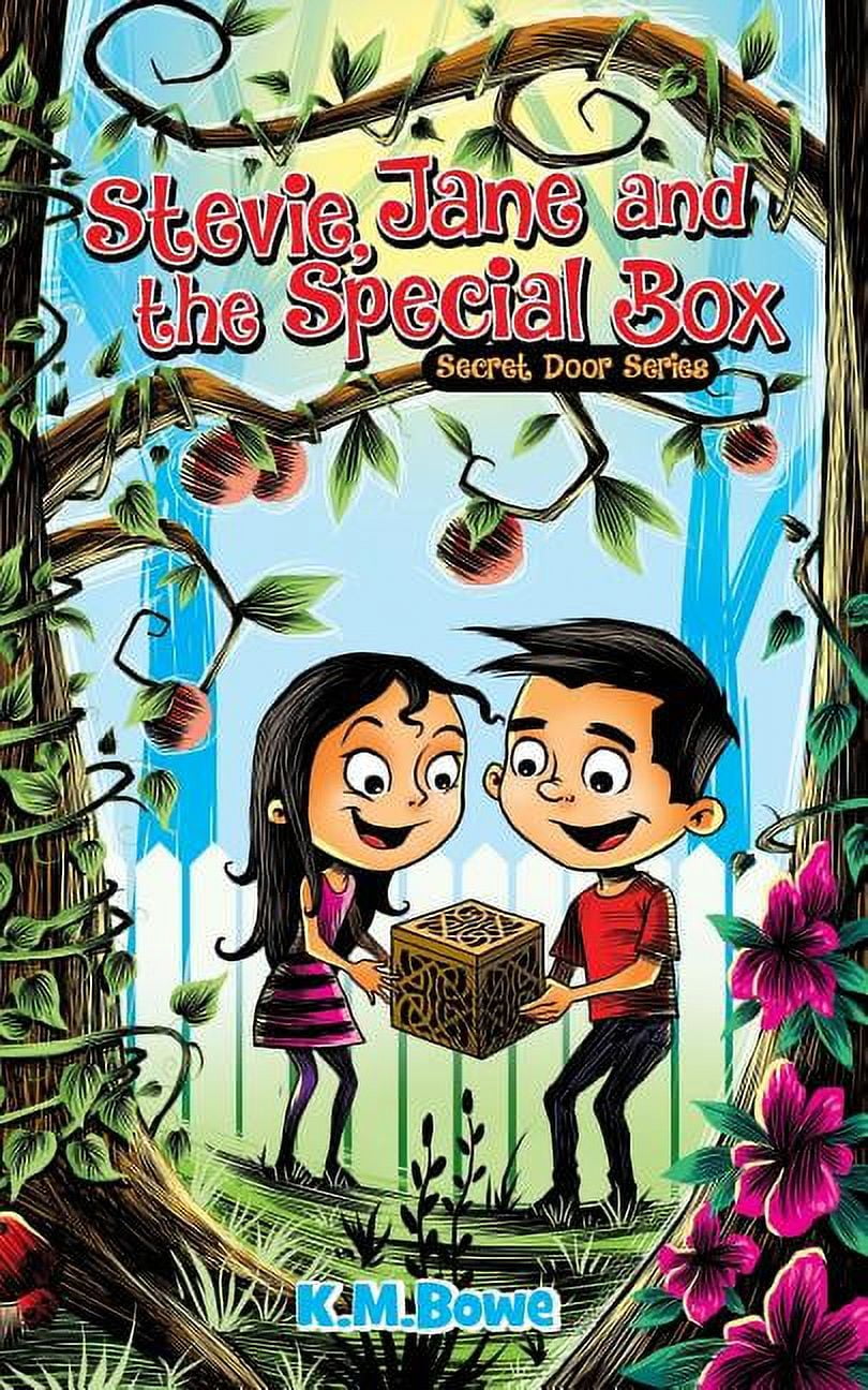 Secret Door: Stevie, Jane and the Special Box: An Early Reader ...