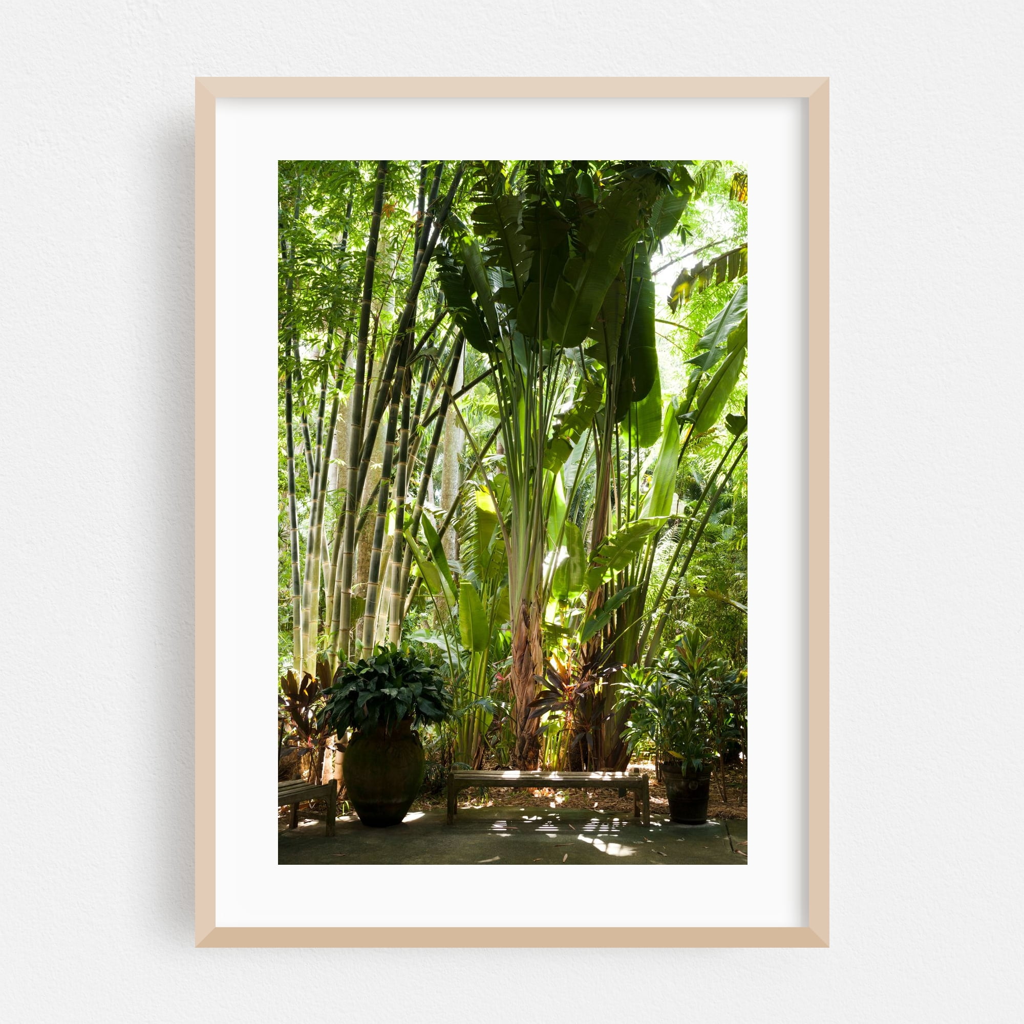 The Secret Florida Garden - St. Petersburg Florida Photography Tropical ...