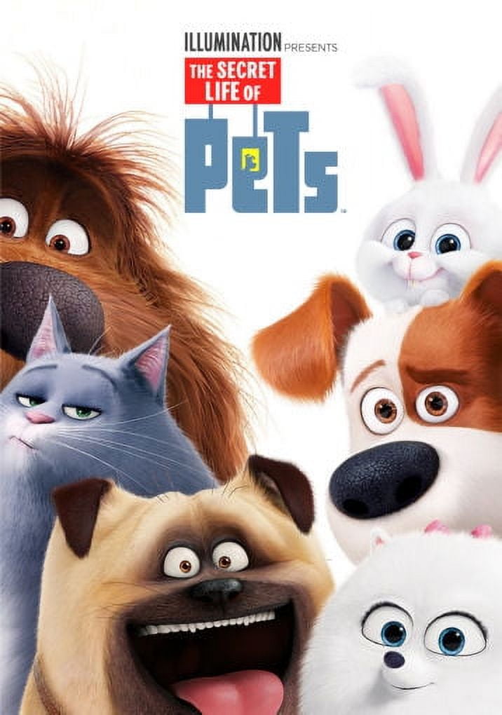 Secret Life Of Pets Poster Metal Sign 8Inx 12In Metal Print 8x12 Square ...