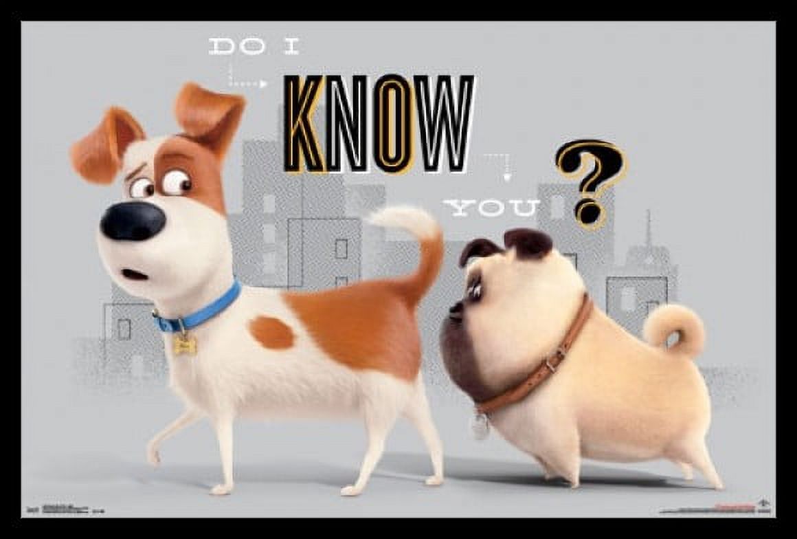 Secret Life of Pets - Sniff Laminated & Framed Poster Print (34 x 22 ...