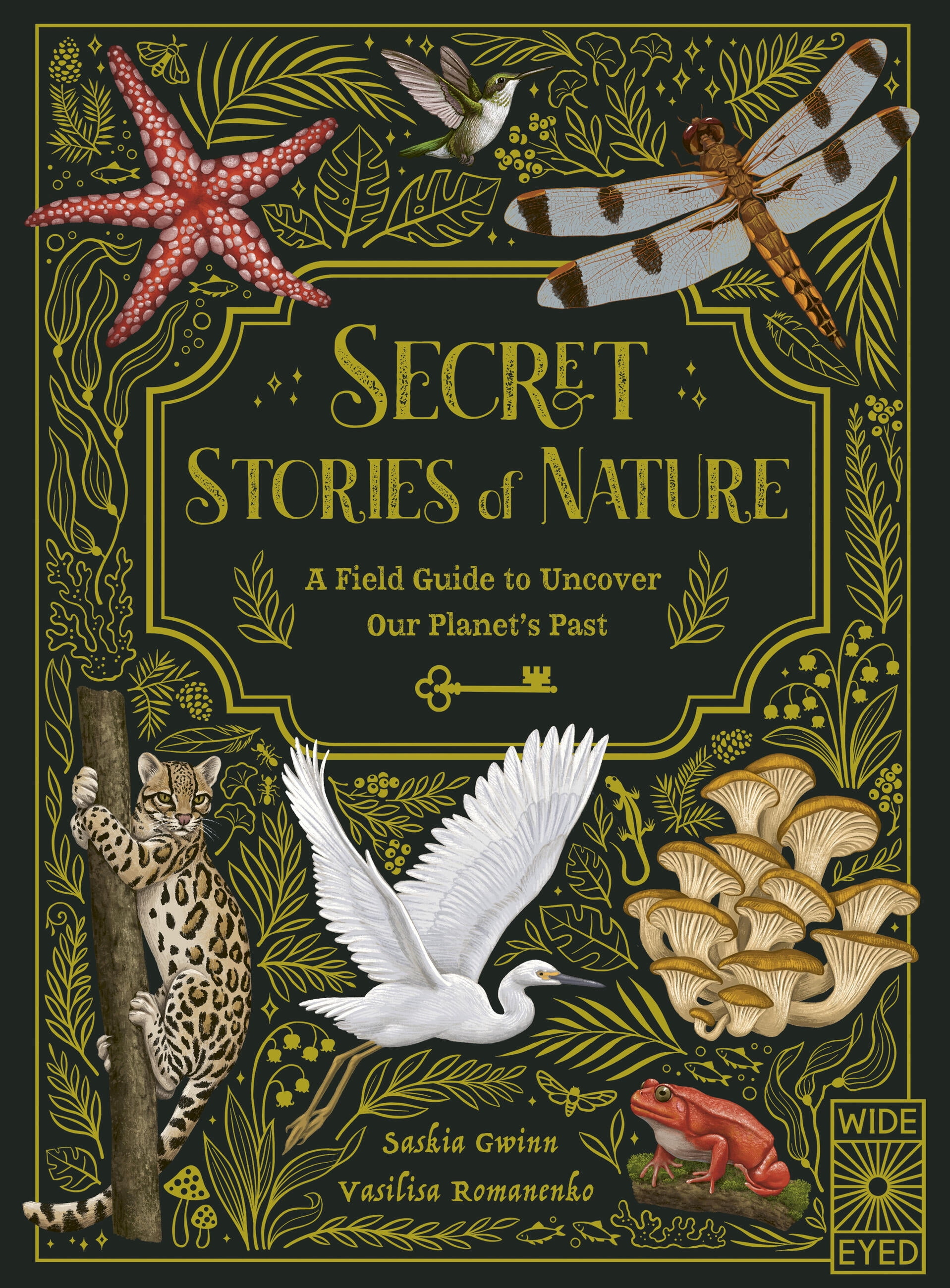 Secret Stories: Secret Stories of Nature : A Field Guide to Uncover Our ...