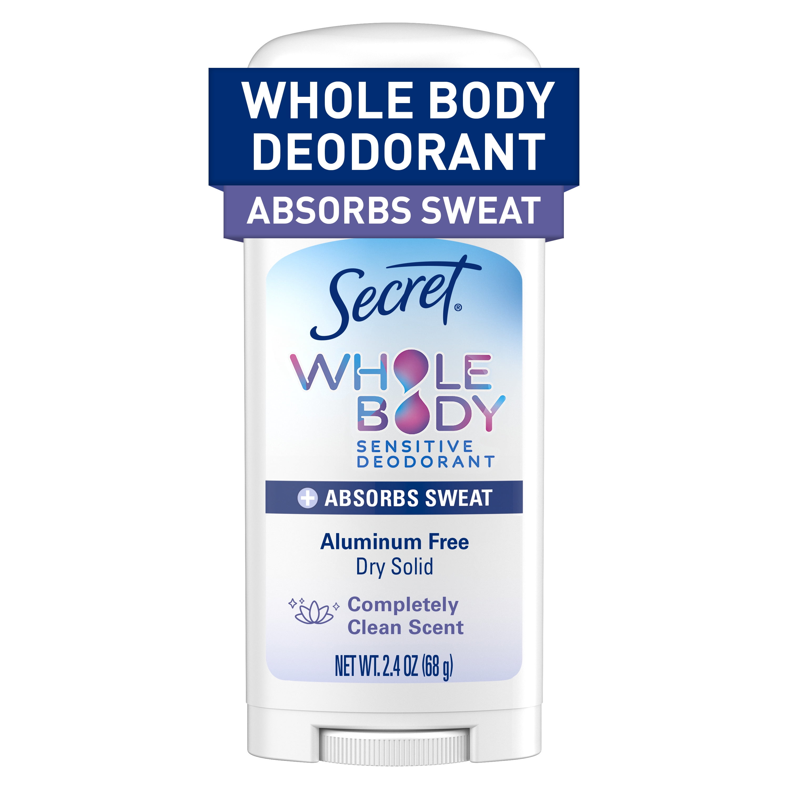 Secret Whole Body Aluminum-Free Dry Feel Stick and Absorbs Sweat ...