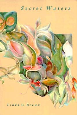 Pre-Owned Secret Waters (Paperback) 0911287248 9780911287240 - Walmart.com