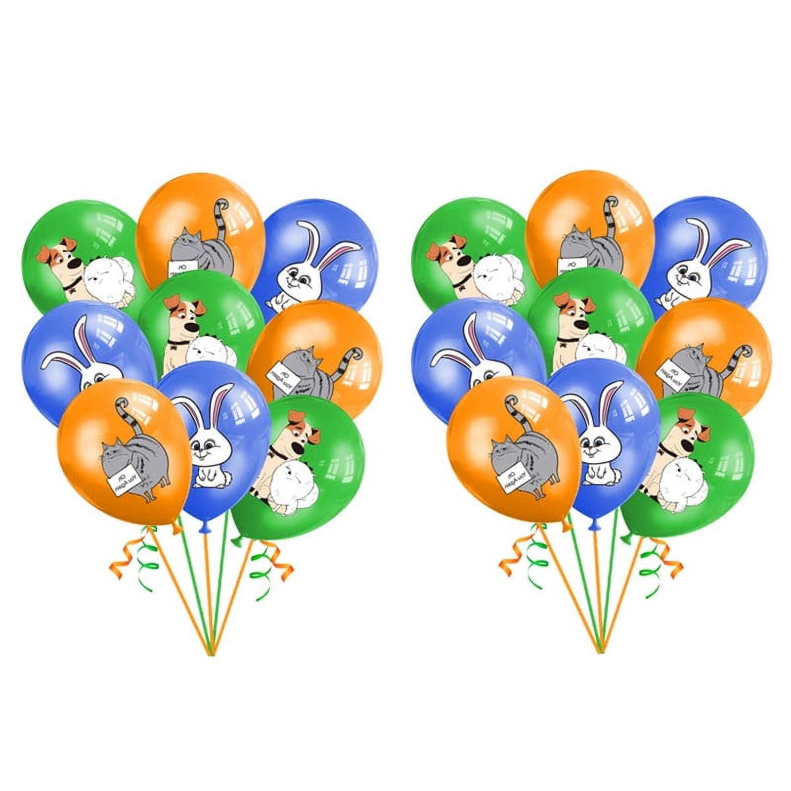Secret of Pets Balloons Party Supplies Birthday Favors Decorations ...