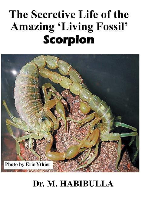 Secretive Life of the Amazing Living Fossil Scorpion - Walmart.com