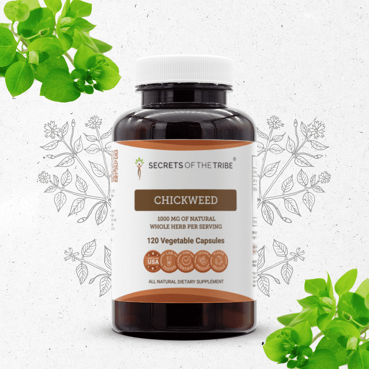 Secrets of the Tribe Chickweed Capsules Dietary Supplement, Natural ...