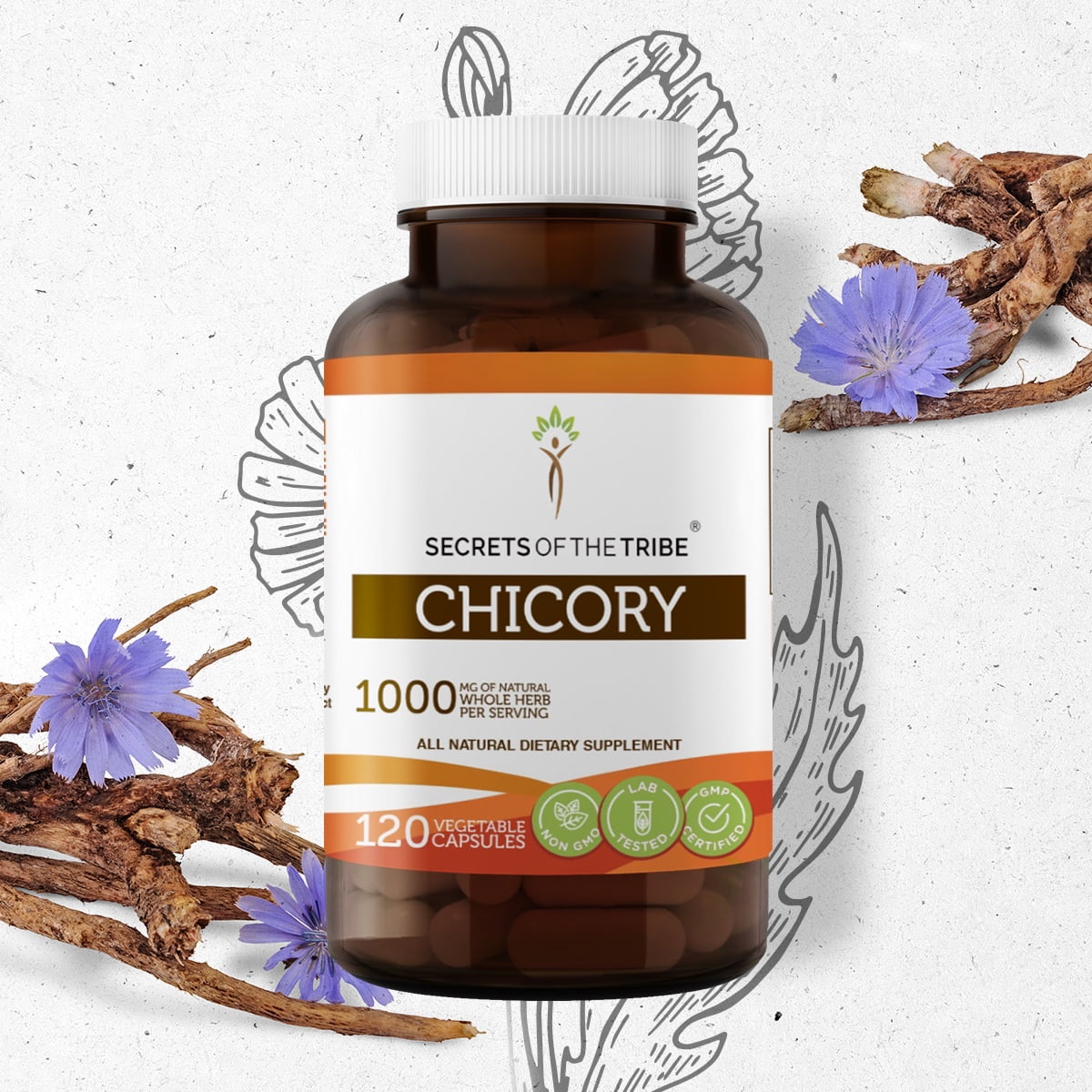 Secrets of the Tribe Chicory Capsules Dietary Supplement, Natural ...