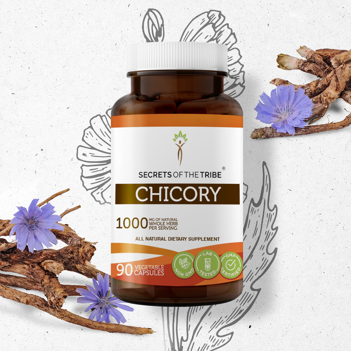 Secrets of the Tribe Chicory Capsules Dietary Supplement, Natural ...
